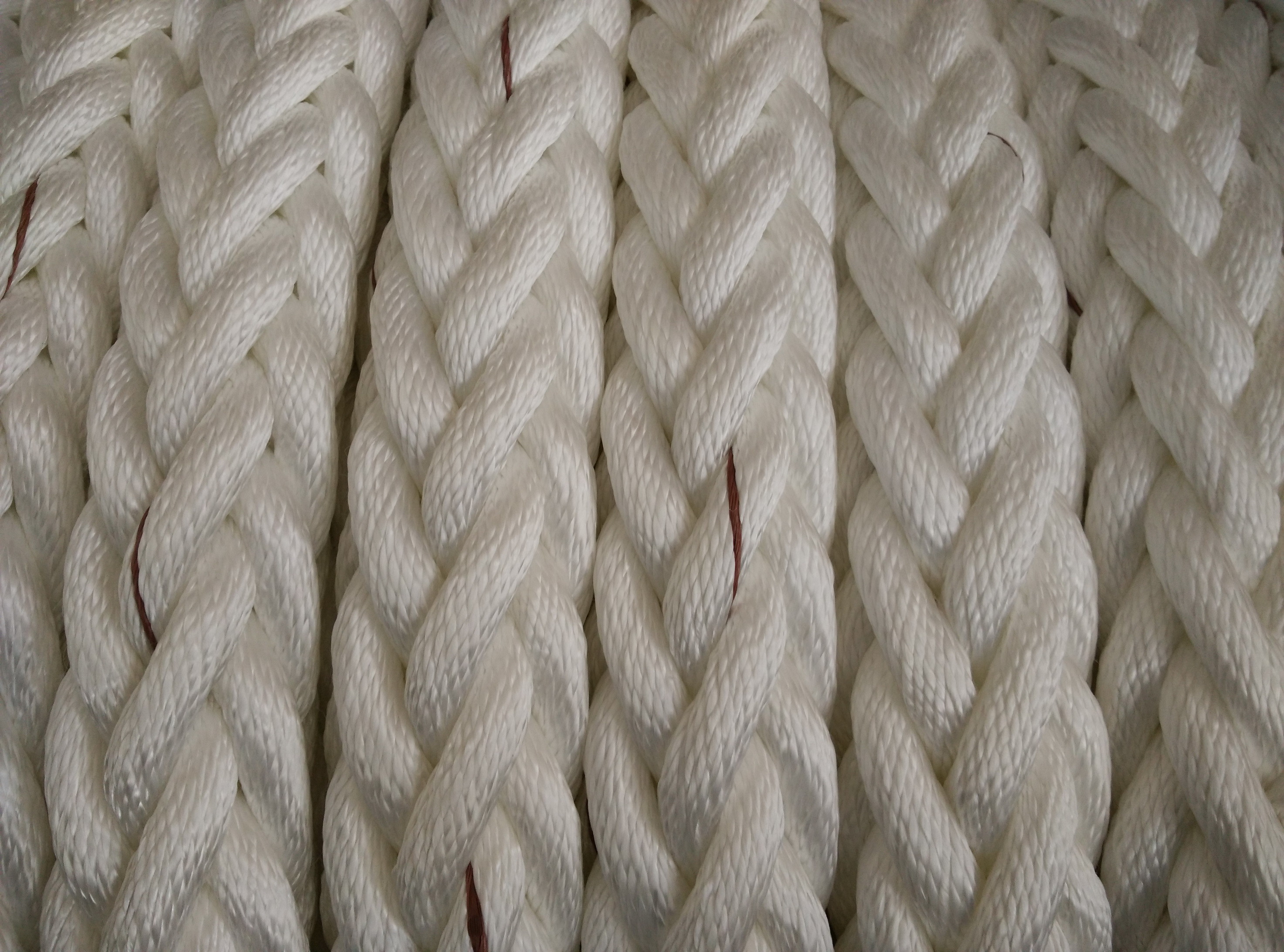 Good Quality 220 Meters Per Coil 12 Strand Polypropylene Multifilament ...